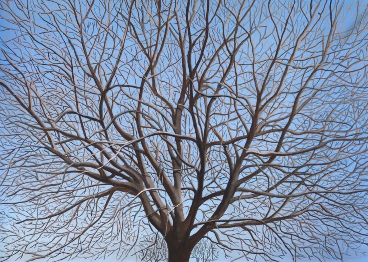 Darren Knight Gallery » Darren Knight Gallery